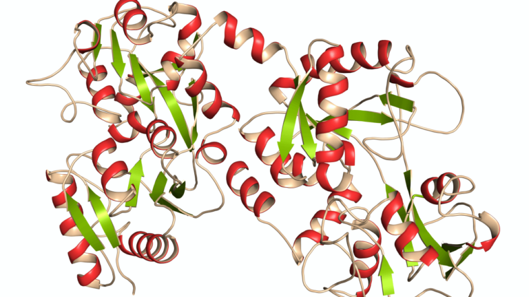 Lattoferrina dove si trova: alimenti e integratori
