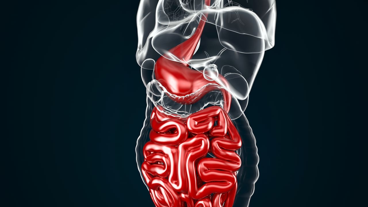 Colite spastica, sintomi e rimedi naturali