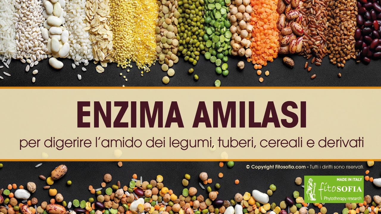 Alfa amilasi e ptialina: guida completa | Fitosofia