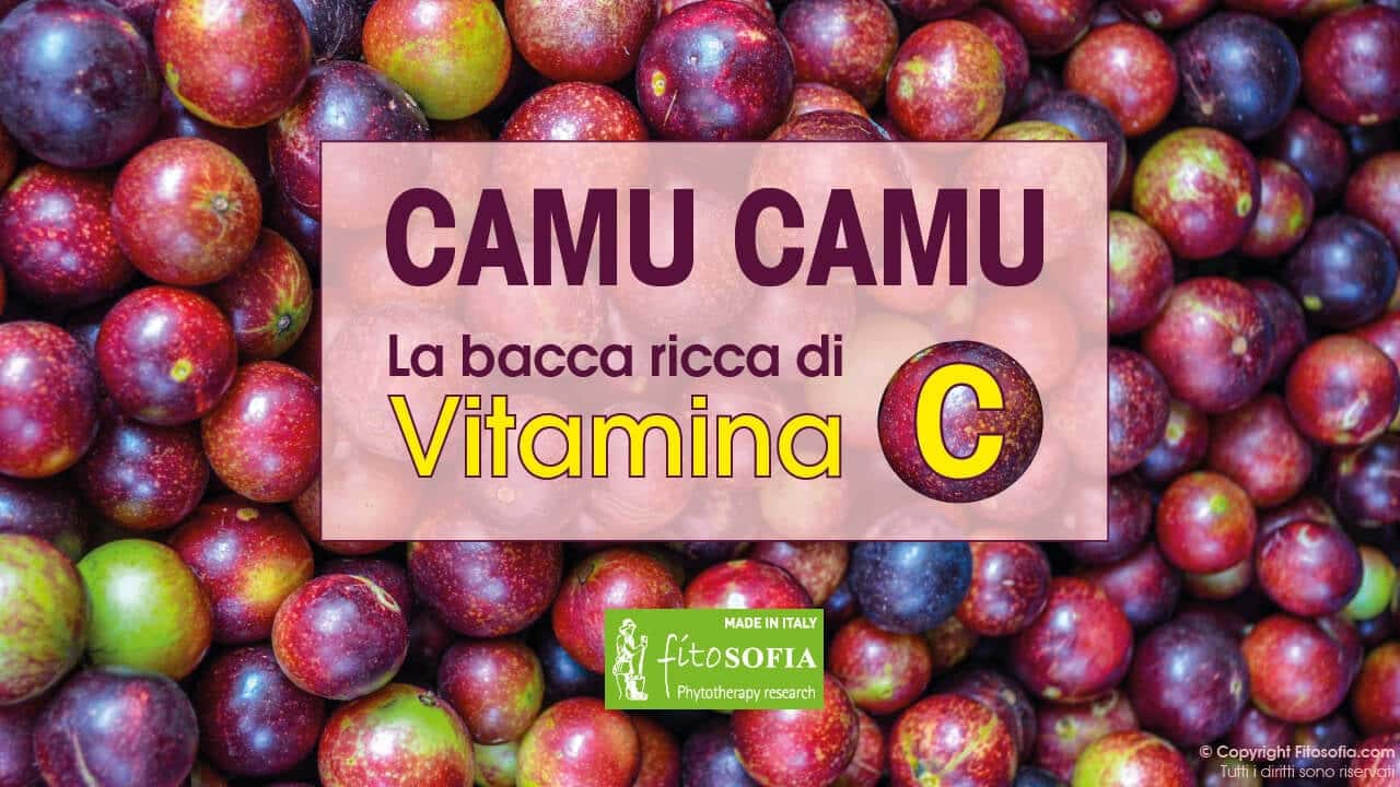 Camu Camu: proprietà e benefici delle bacche