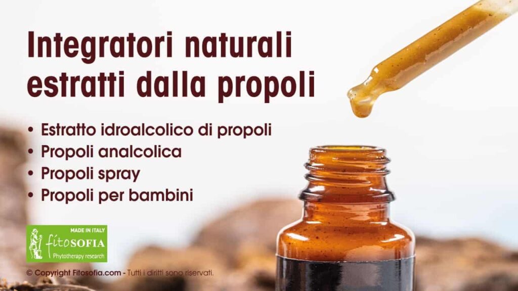 Propoli: Proprietà, benefici e a cosa serve | Fitosofia