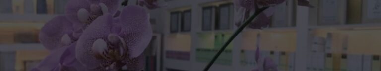 Come fare i fumenti per il raffreddore con bicarbonato